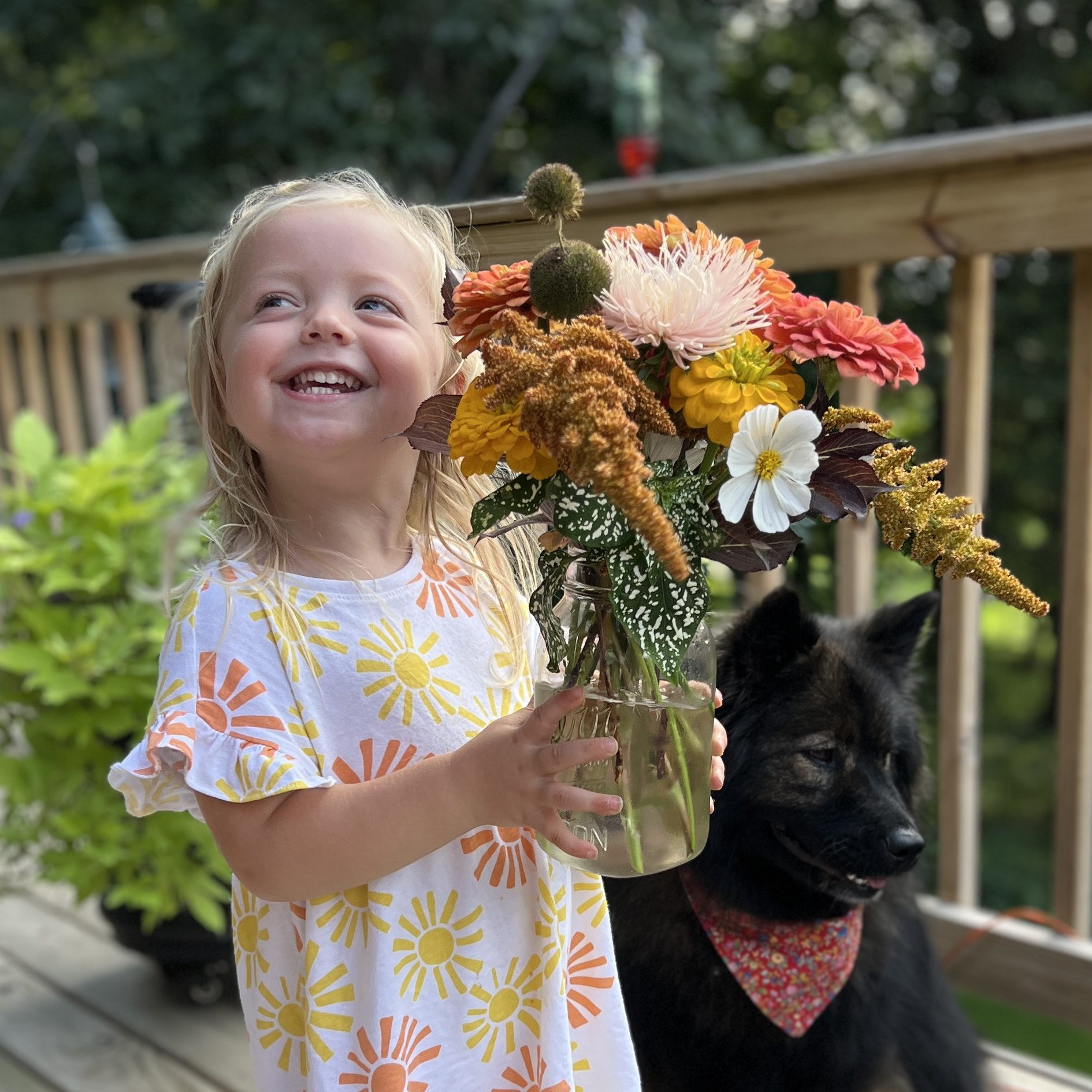 Juniper Hill Flower Farm Black Earth Wisconsin – Come escape to Juniper ...